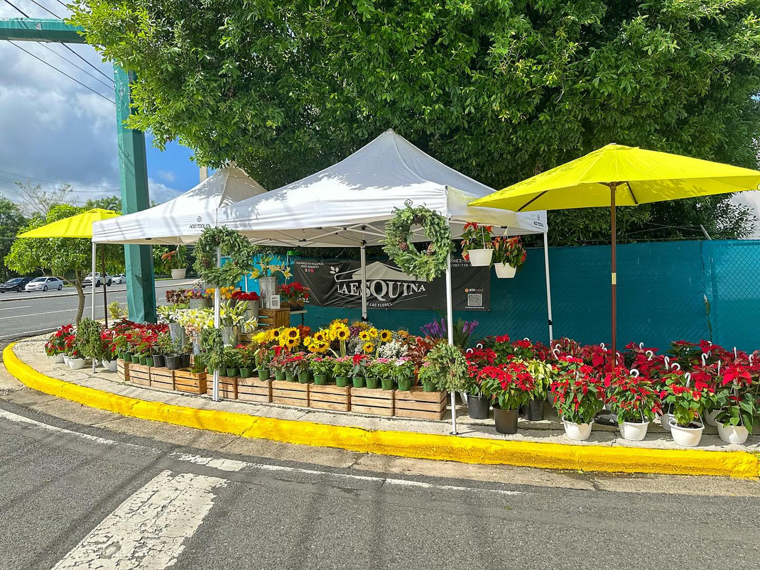 Floristeria Croto Jr. lideres en Arreglos Florales y Servicios en PR